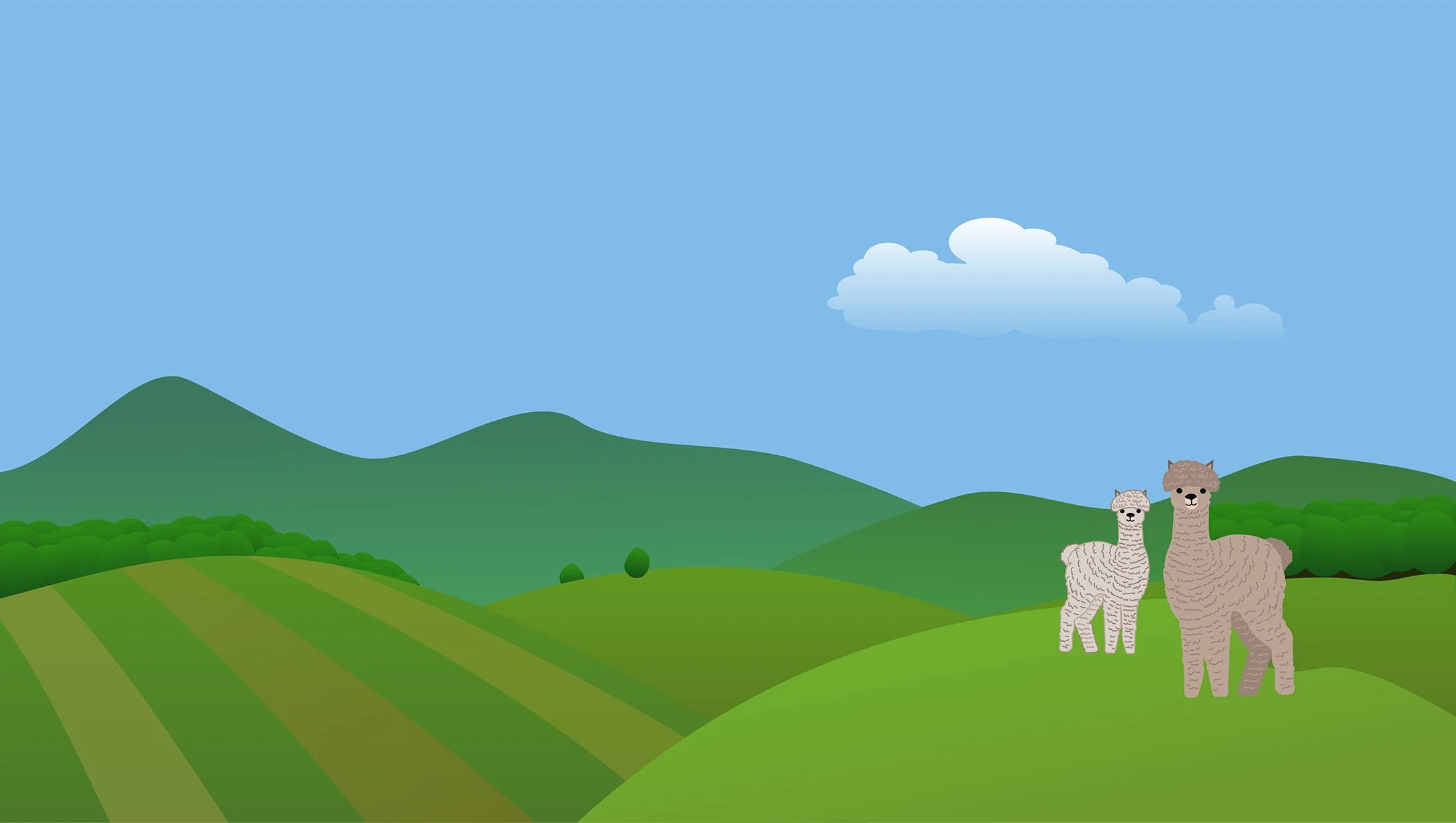 The Mini Farm - Y Fferm Fach - Alpaca Experience