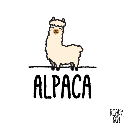 The Mini Farm - Y Fferm Fach - Alpaca Experience