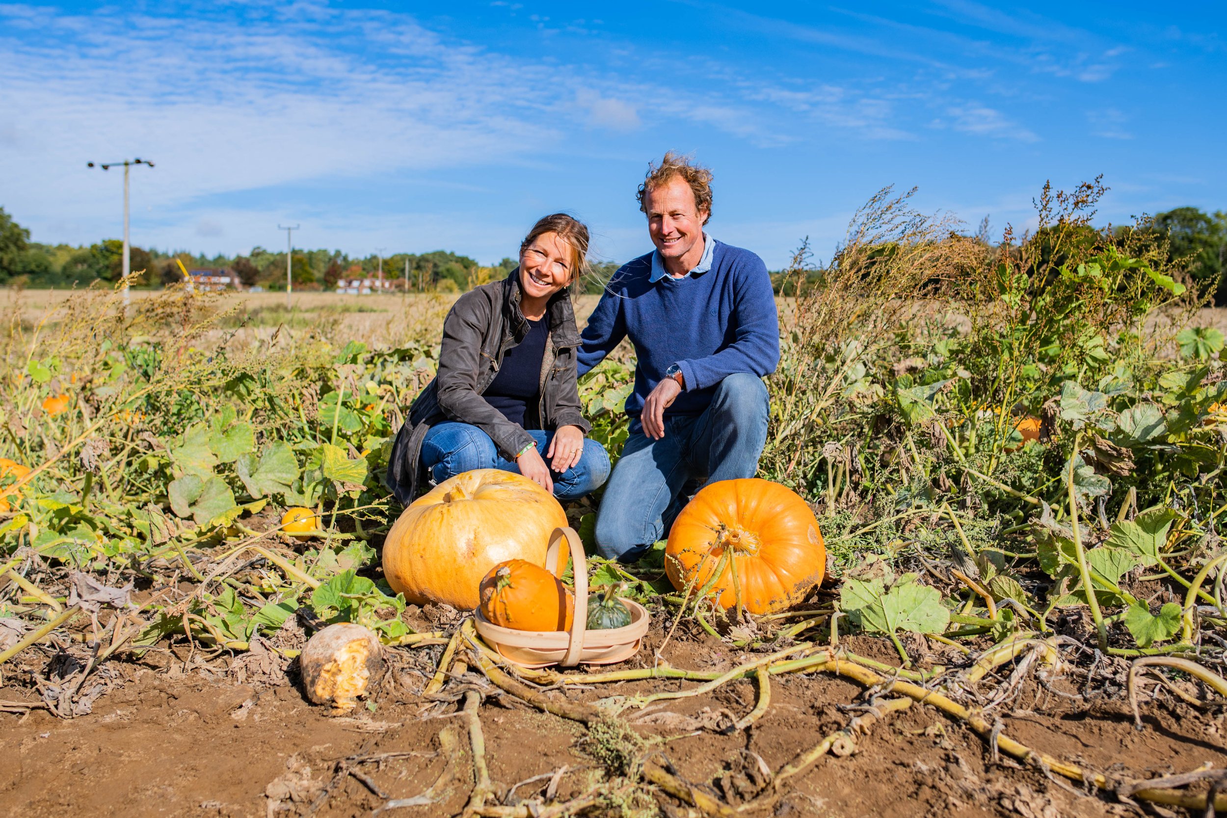 Rogate Pumpkin Patch