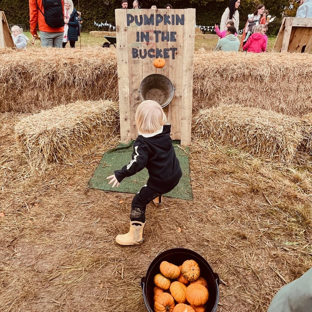 WHAT'S ON — Rogate Pumpkin Patch