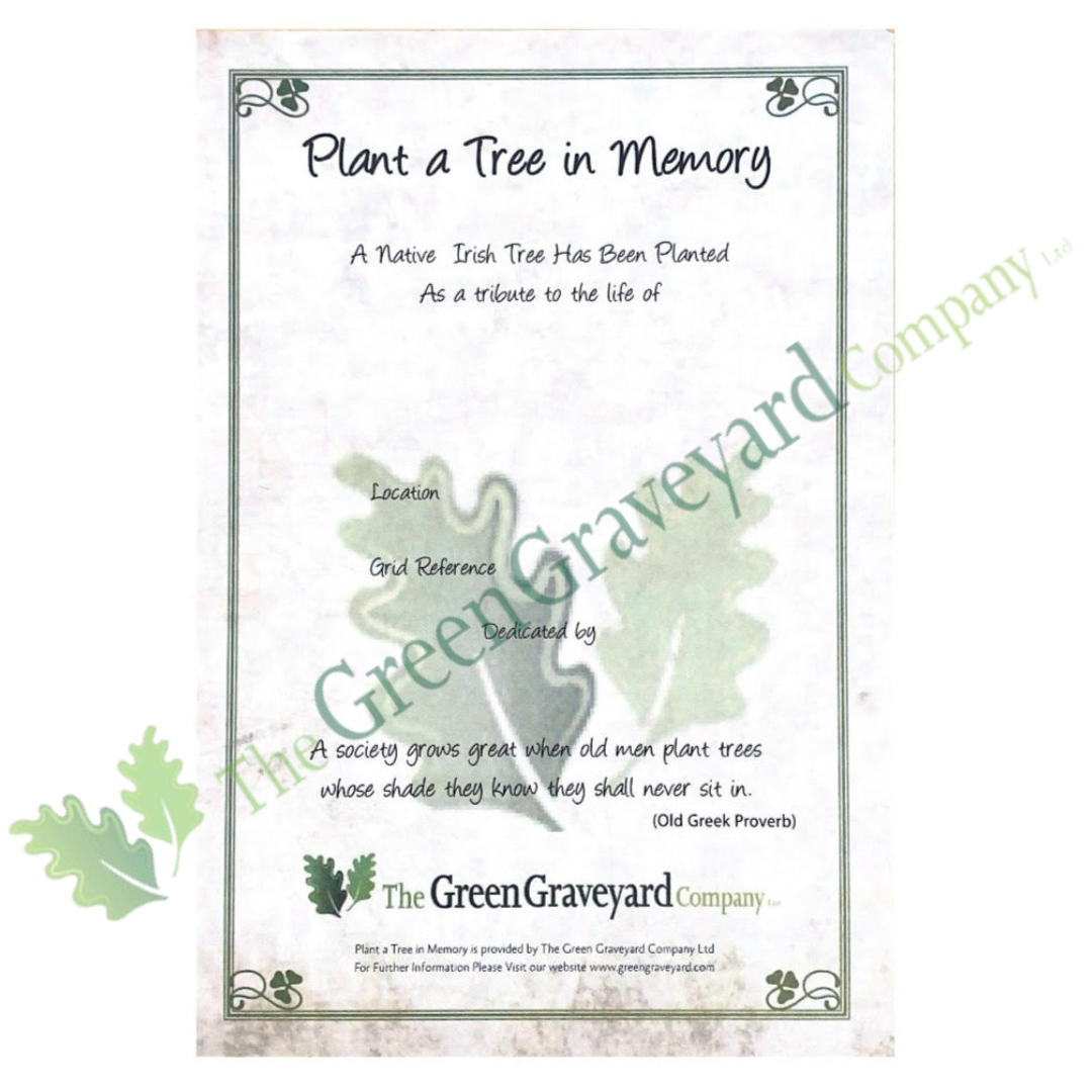 Irish Memorial Tree — Woodbrook Natural Burial Ground