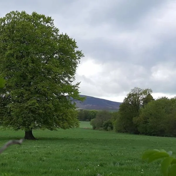 Pricing — Woodbrook Natural Burial Ground