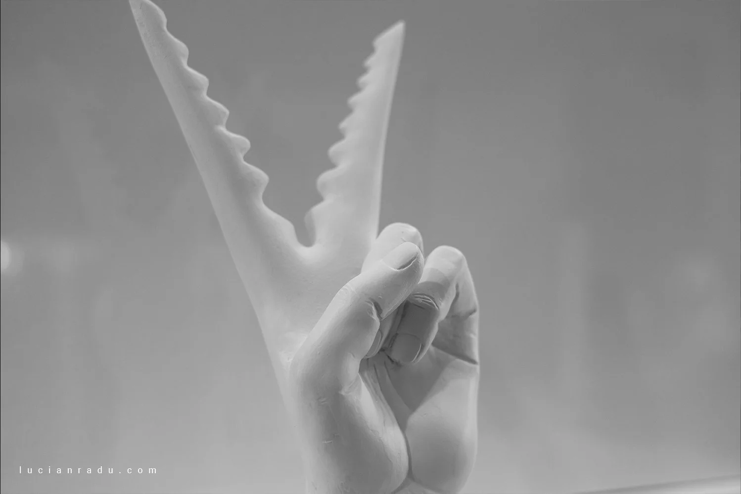 CUTTING PEACE — Lucian Radu