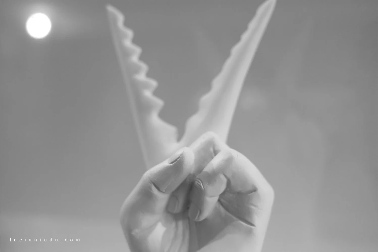 CUTTING PEACE — Lucian Radu