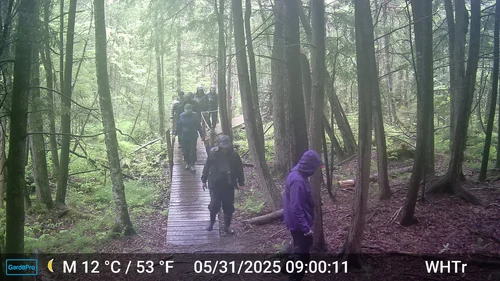 May 2025 West Rutland Marsh walk — Rutland County Audubon society