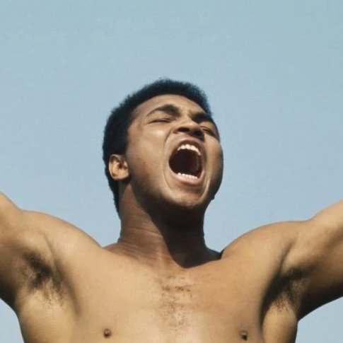 Muhammad Ali Festival