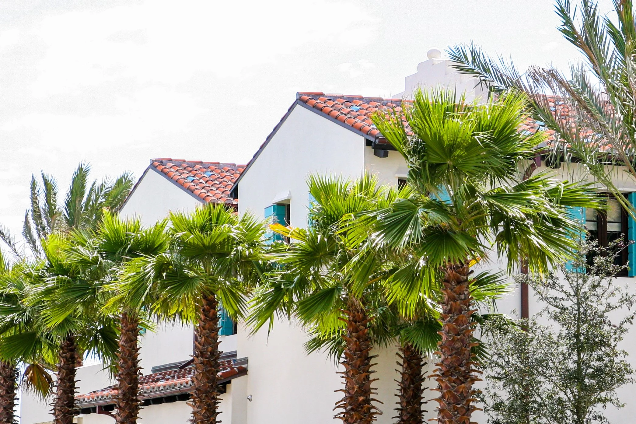 Clay Tile Roofing | Huber & Associates | Award-Winning Florida Roofing ...