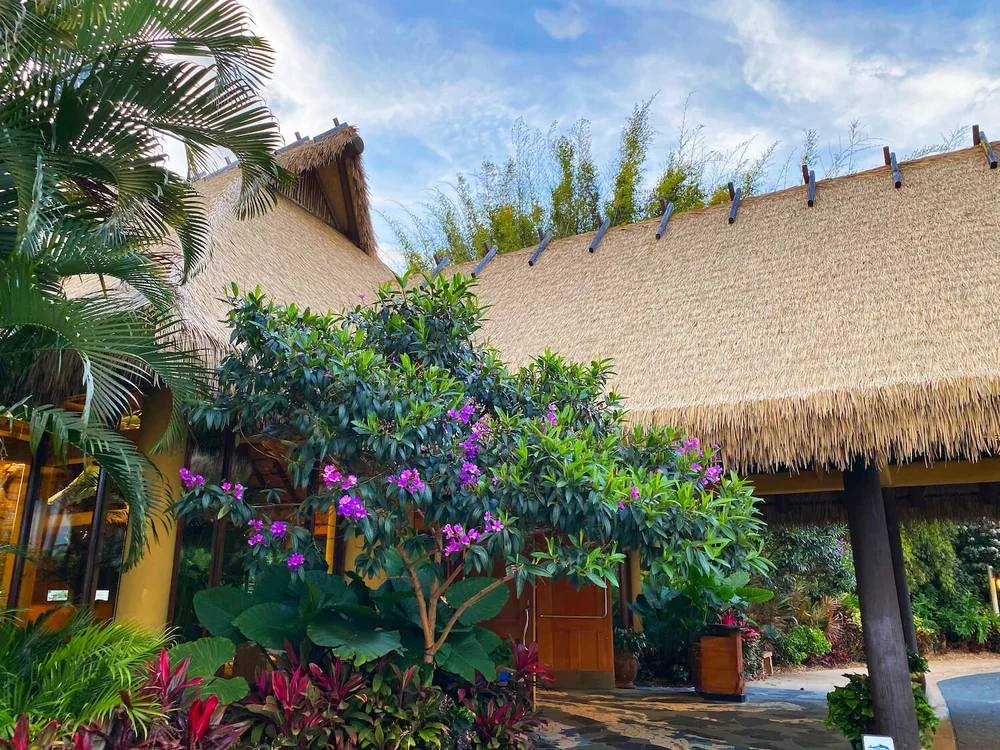 Thatch Portfolio | Huber & Associates