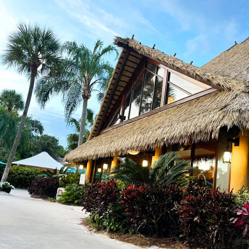 Custom Blended Endureed Thatch Roof at Theme Park — Huber + Associates