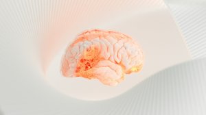 How Alcohol Affects the Brain and Central Nervous System.