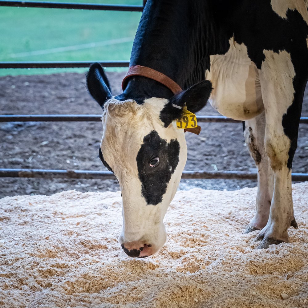 About | High Quality Dairy Products | Rebersburg, PA — Hidden Rock Farm
