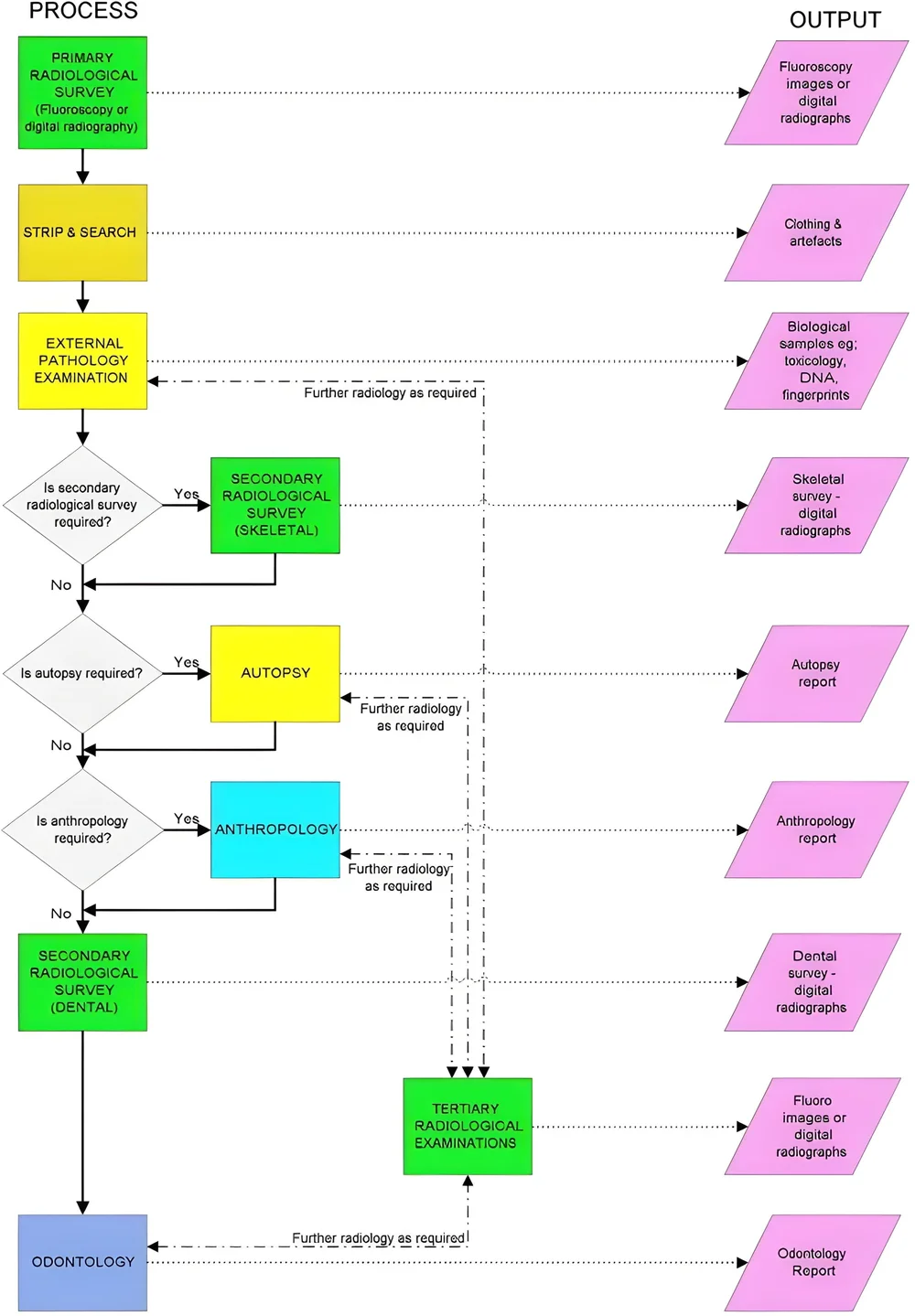 Disaster Victim Identification — International Society of Forensic ...