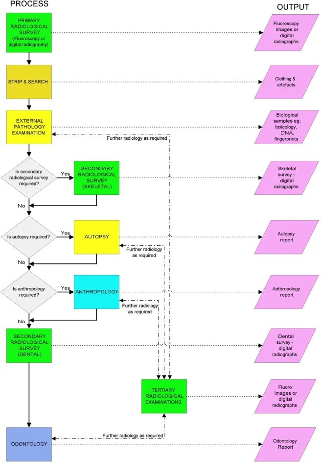 Disaster Victim Identification — International Society of Forensic ...