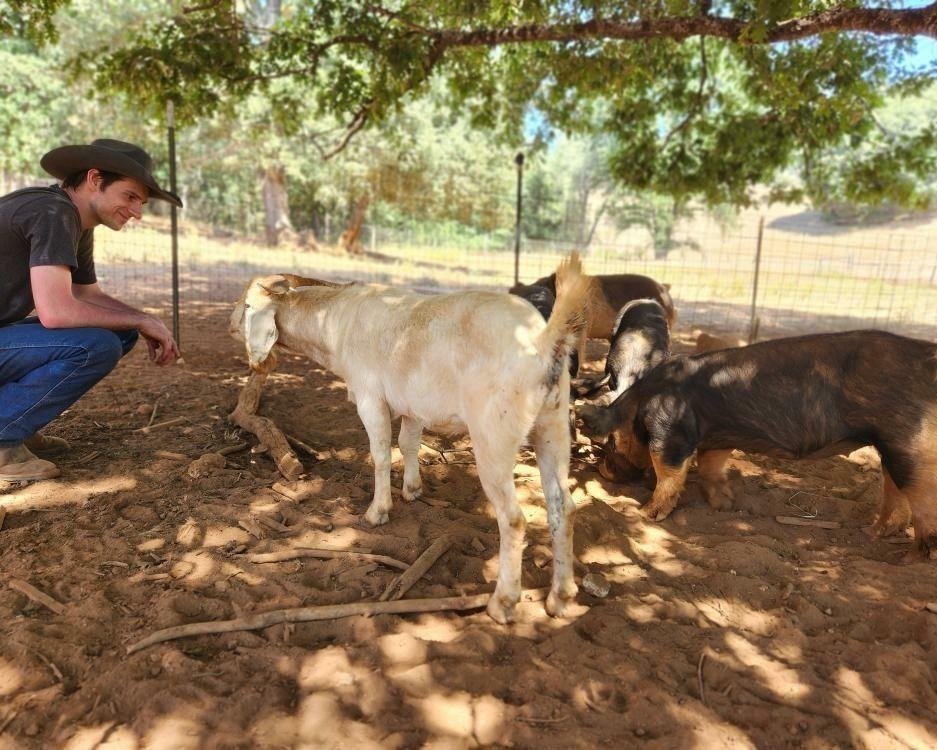 Sweet Water Farm & Ranch Co. | Pastured Pork & Poultry | Raw Local ...