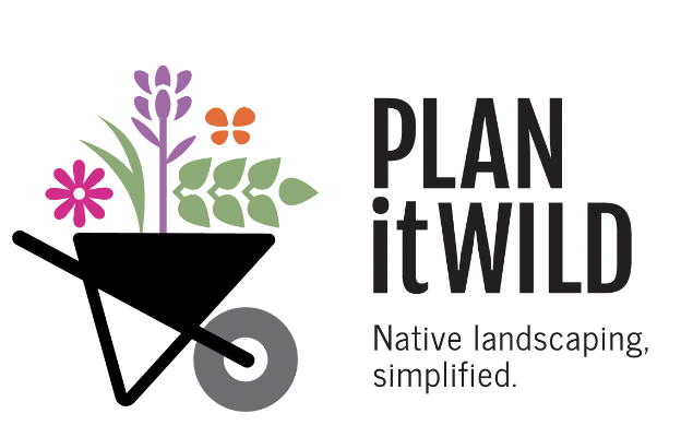 Less Lawn, More Life