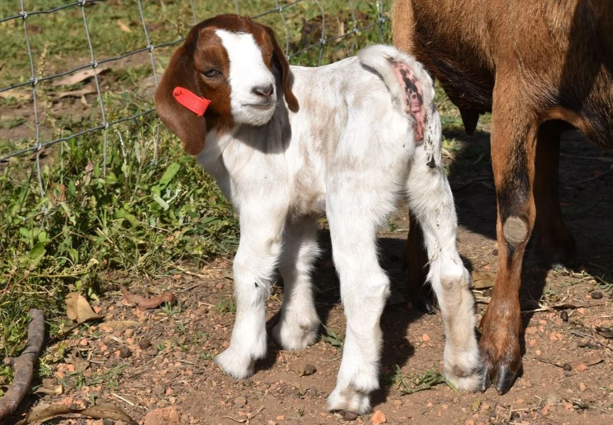 Sales — The Avenue Myrtle Creek