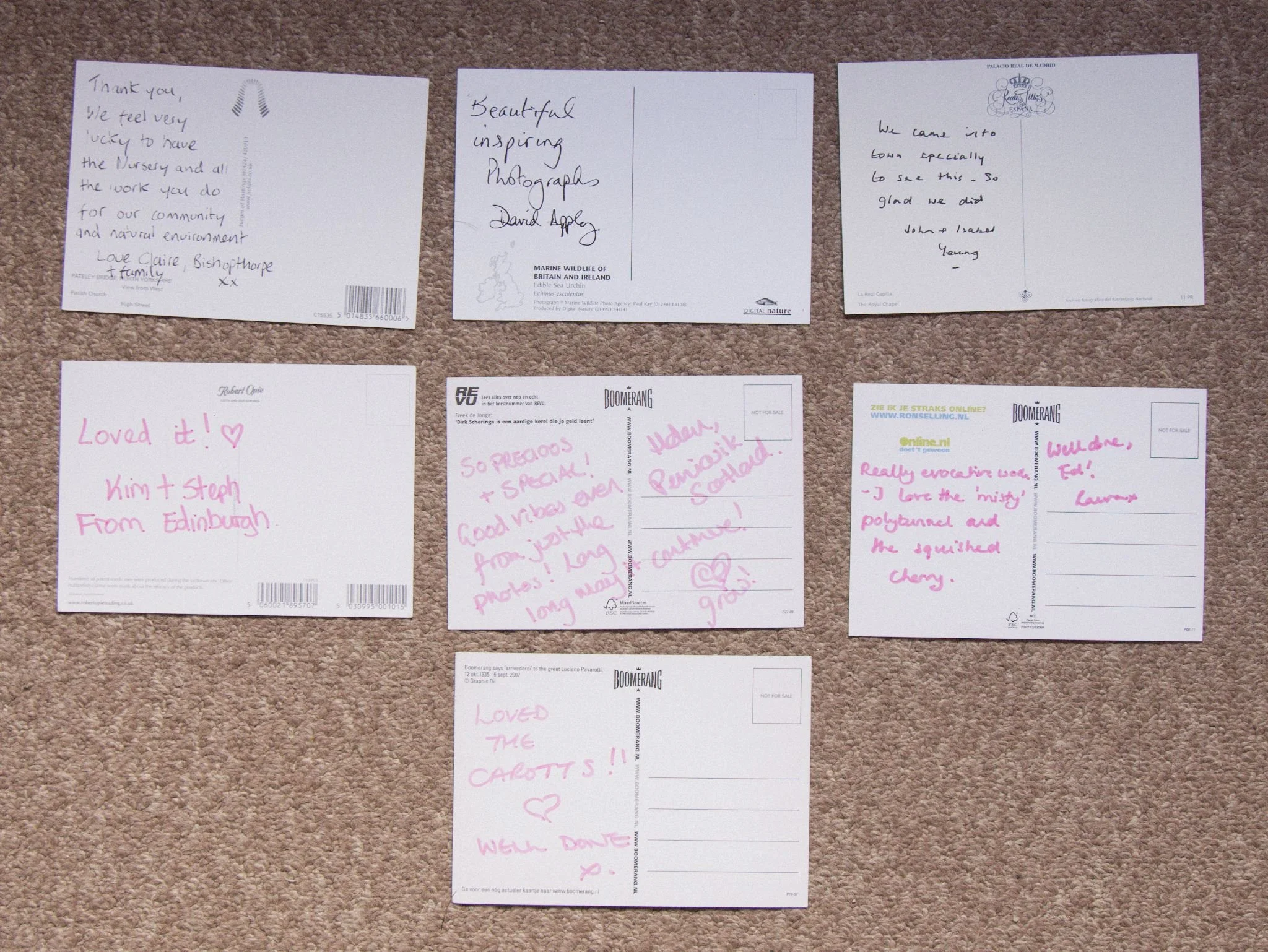 What I learned from my first photography exhibition — Ed Clews