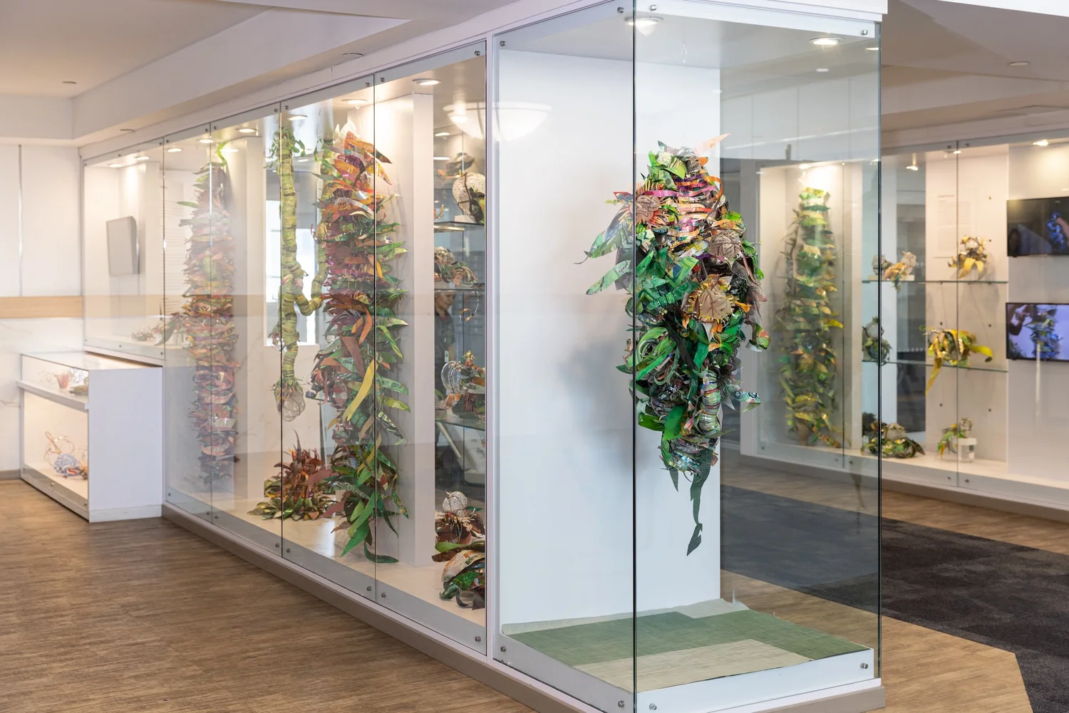 Restorative Nature - Montefiore Einstein, Bronx (June - Sept 2023 ...