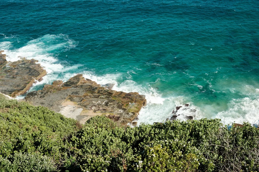 Contact — Newcastle Brain Centre