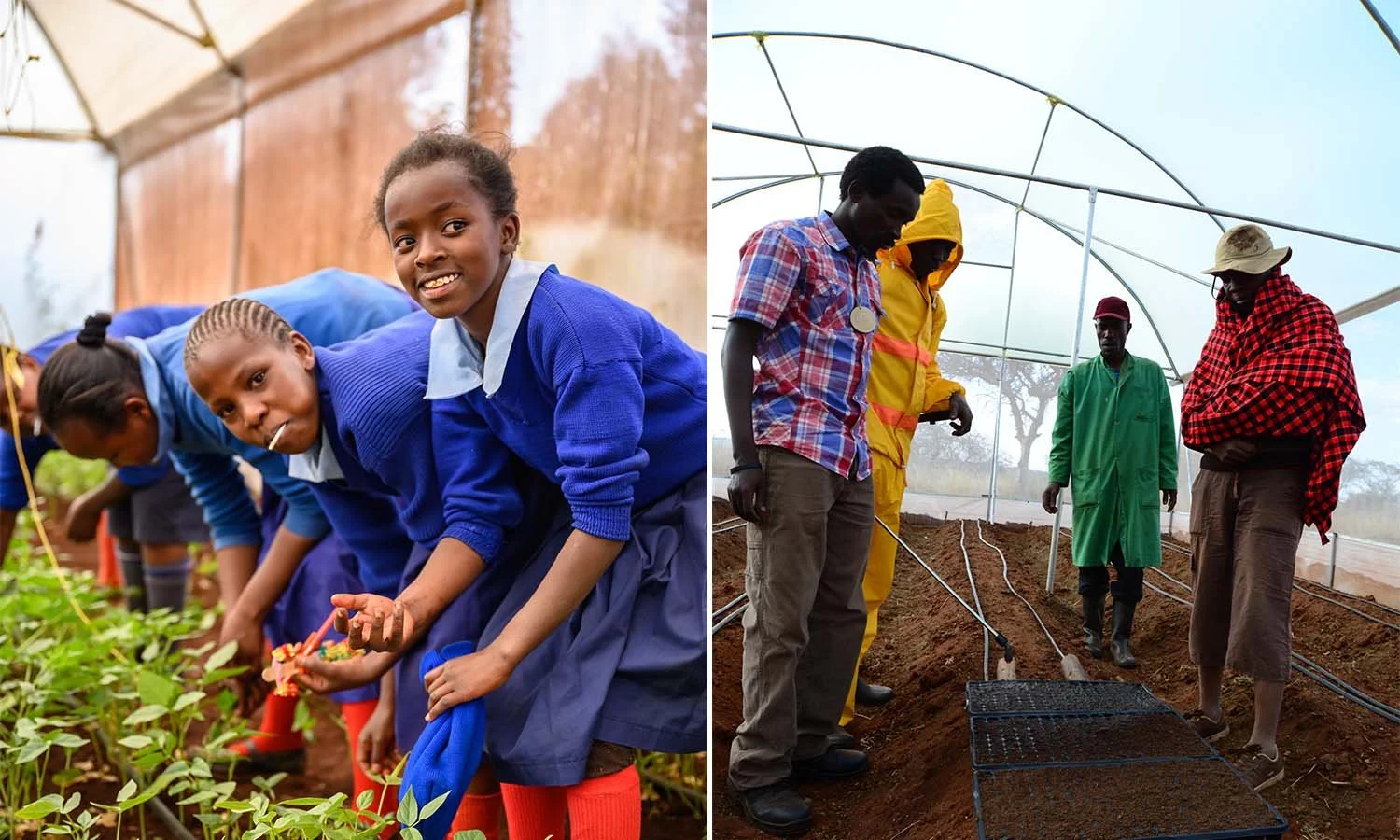 A Sustainable Hat Trick: TGE’s Greenhouse Program — The Giving Exchange