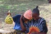 Program Launch: Vegetable Farming with Chemi Chemi — The Giving Exchange