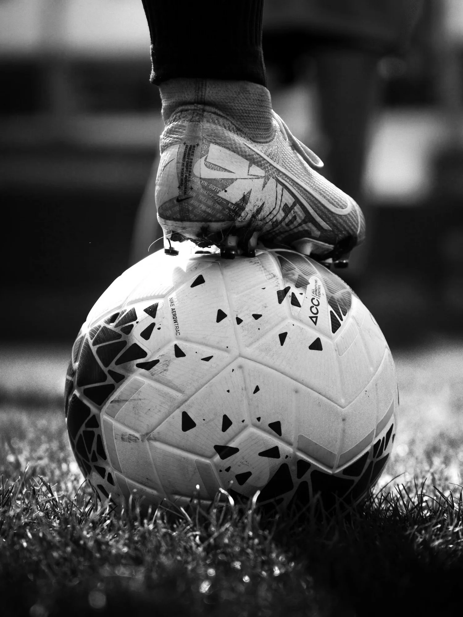 Founders FC — Southern Maryland Youth Soccer Program (St. Mary's County ...