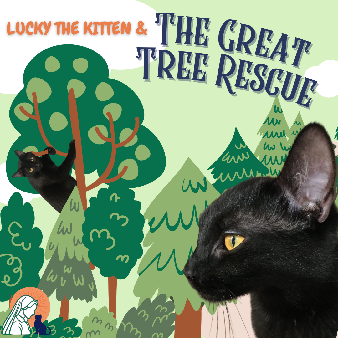 Lucky the Kitten & the Great Tree Rescue — St. Gertrude Rescue