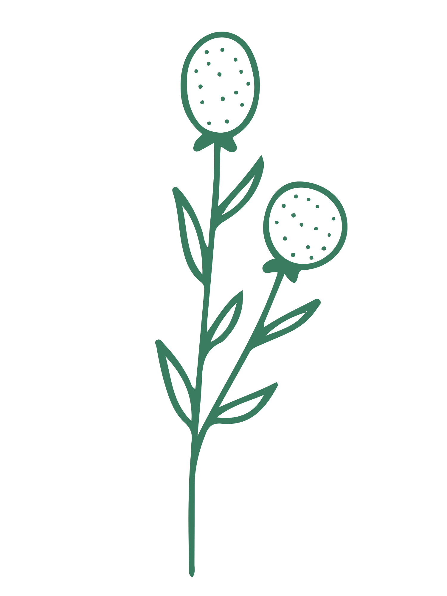 Lyons Colorado Wedding Venue, Flower Farm — Lyons Farmette