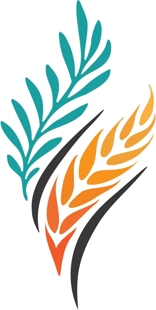 New LinkedIn Page — The Lilly Network