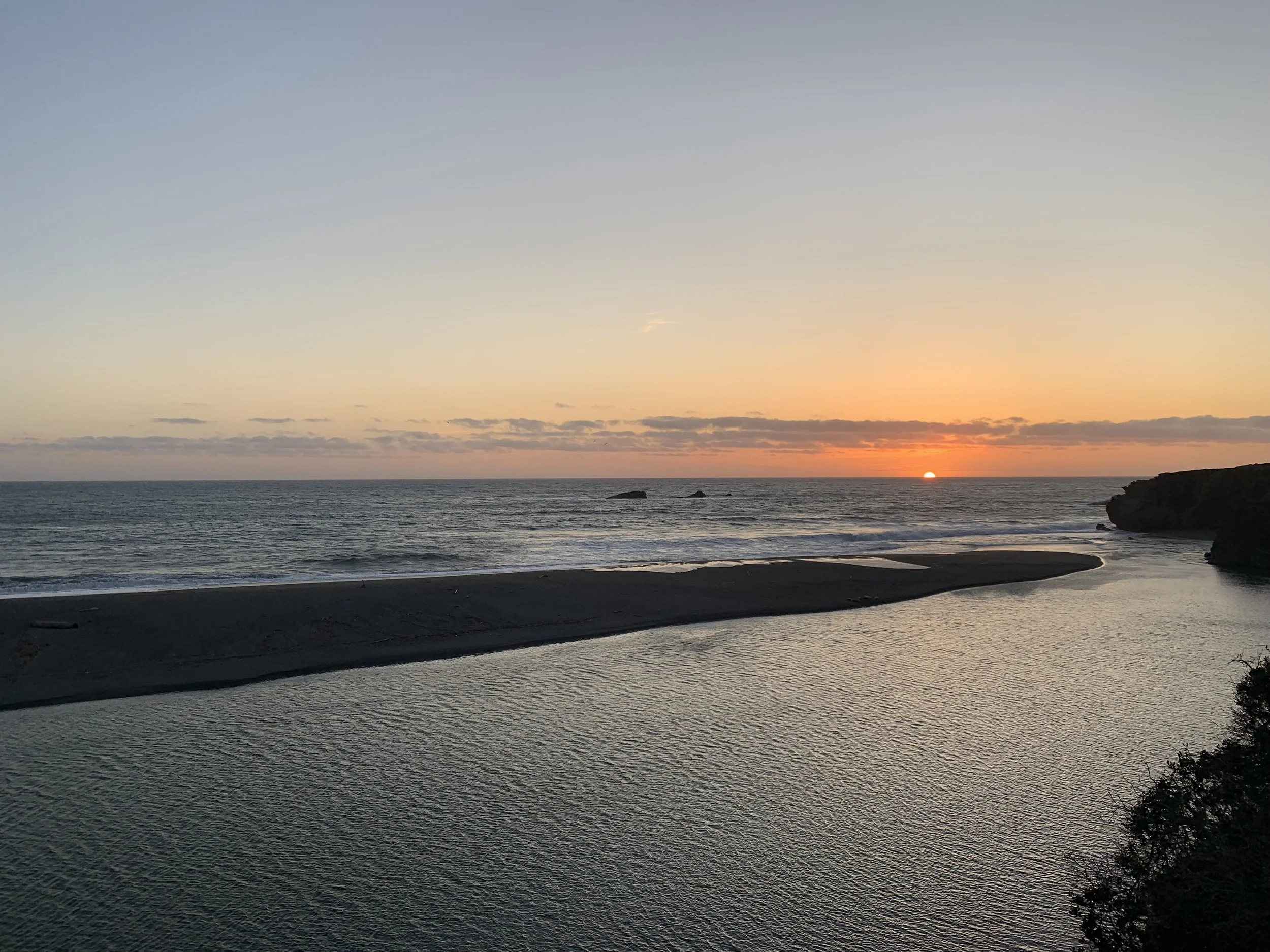 Amenities — Finch+Fern Grove