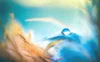 What Is Equanimity? — My Spiritual Butterfly