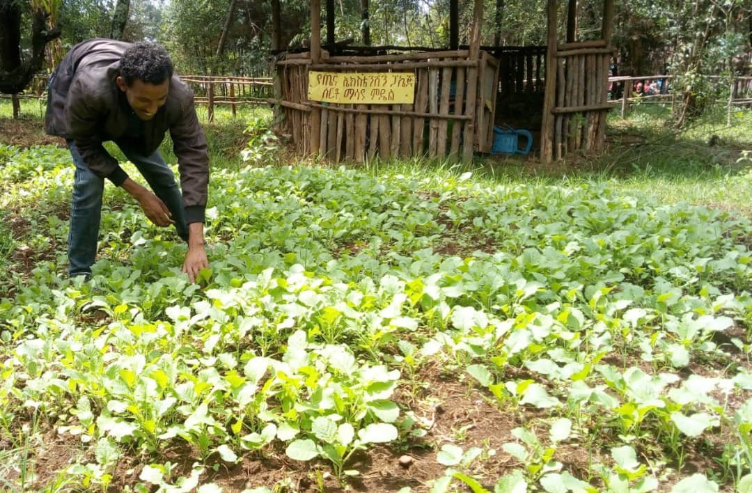 Initiatives - Teach For Ethiopia — Teach For Ethiopia