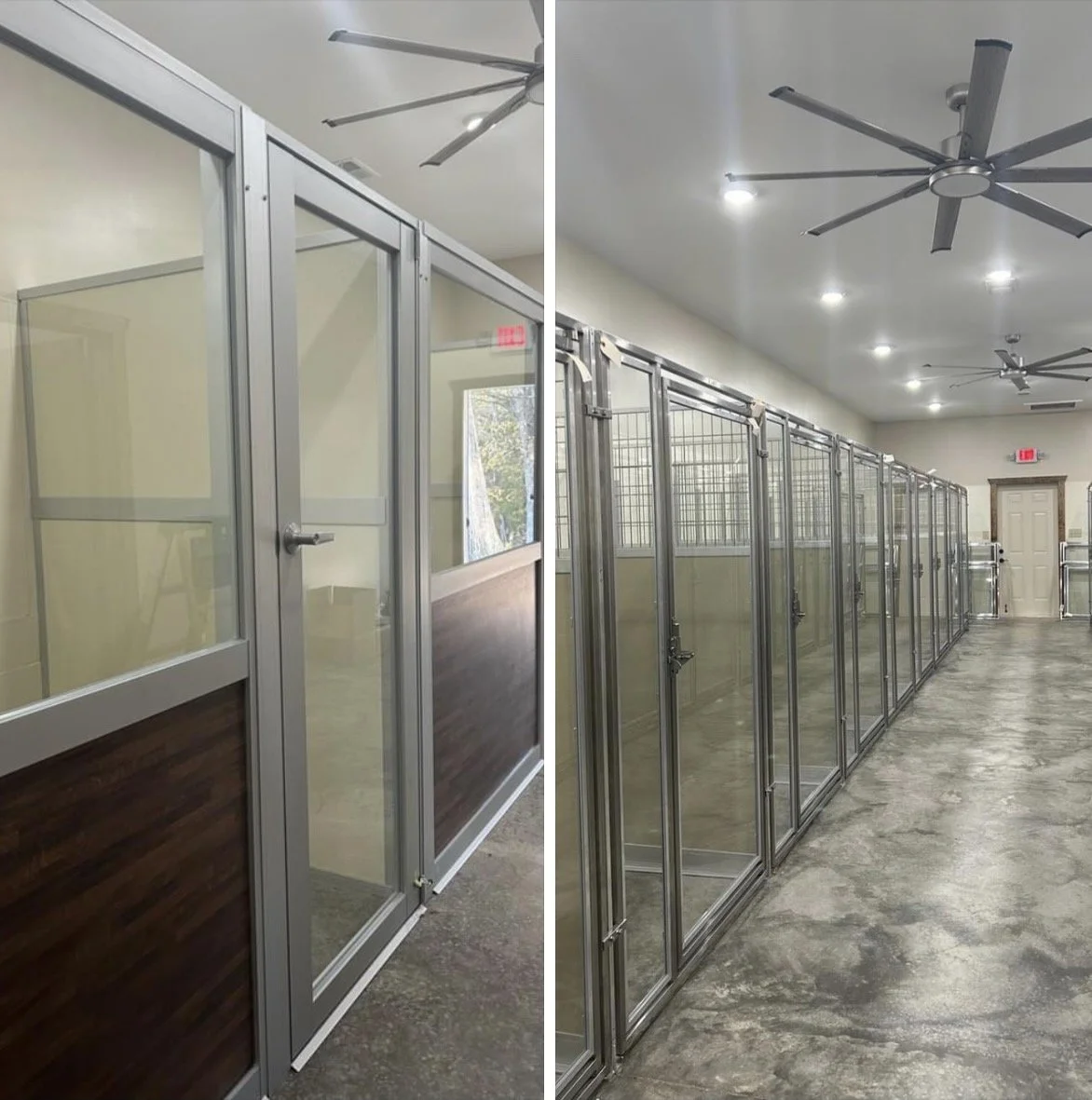 Dog Boarding Services — Doggie Dude Ranch