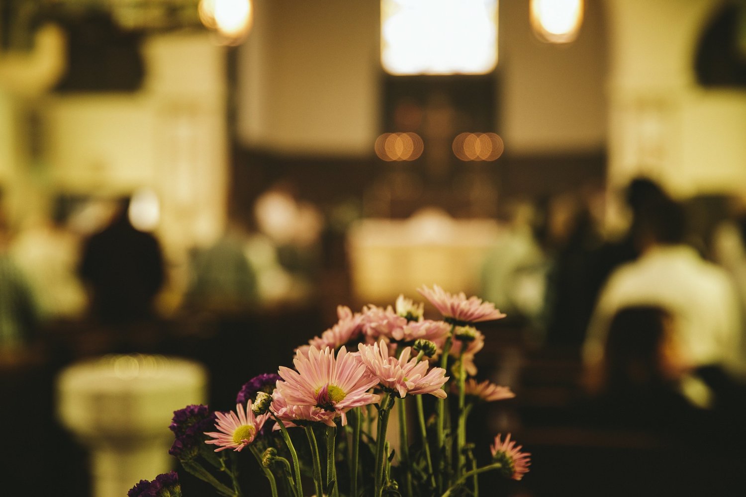 Our Vestry — St. Andrew's Episcopal Church