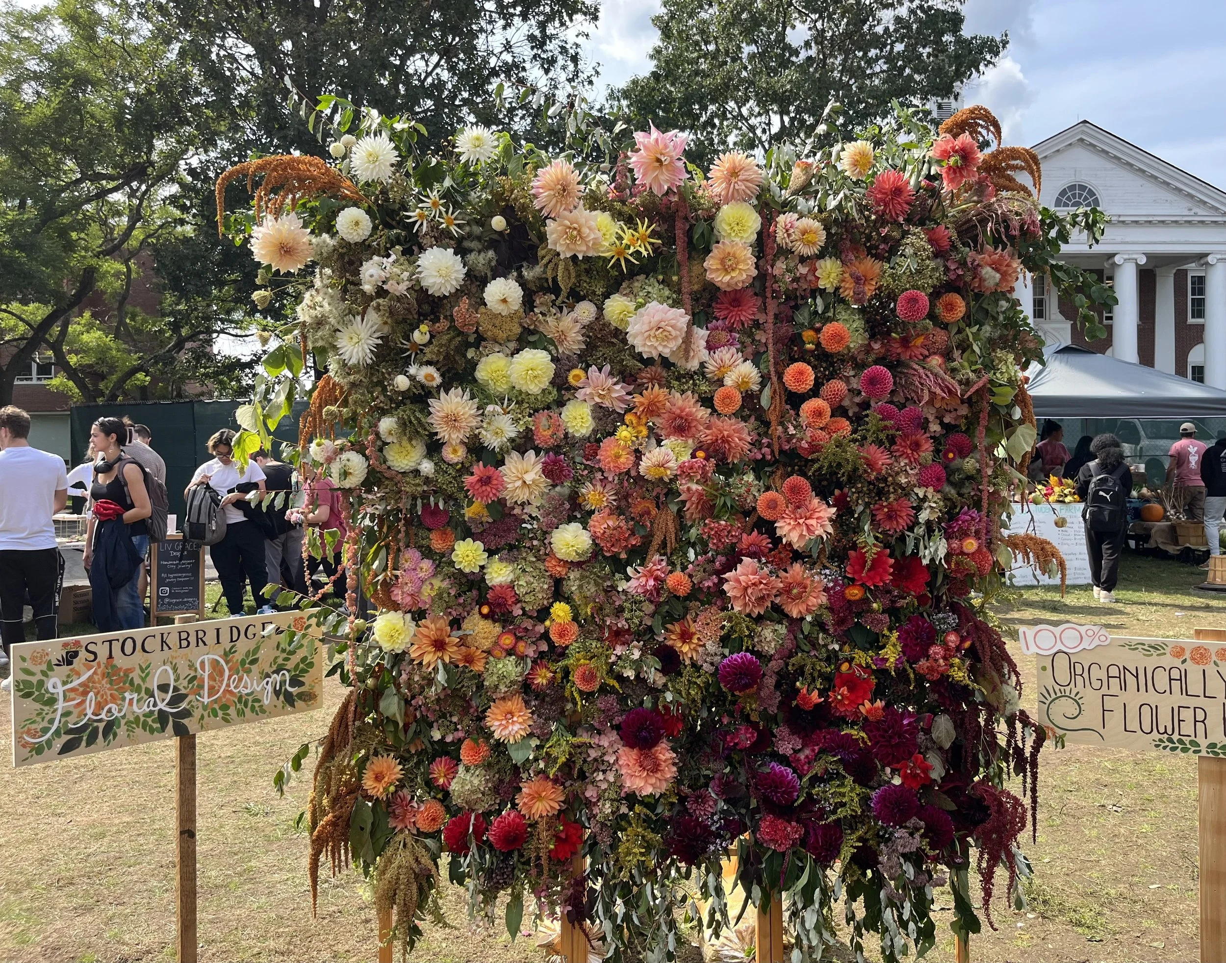 Flowers by Sarah Berquist