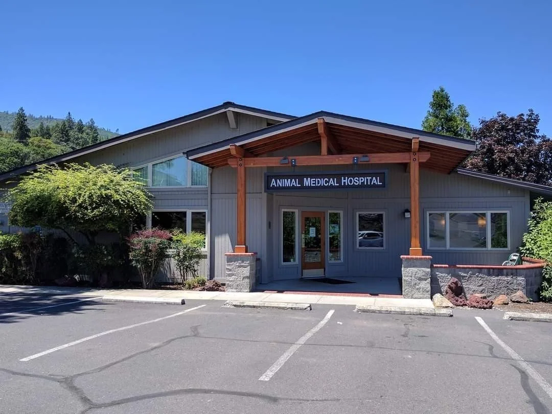 Animal Medical Hospital Ashland