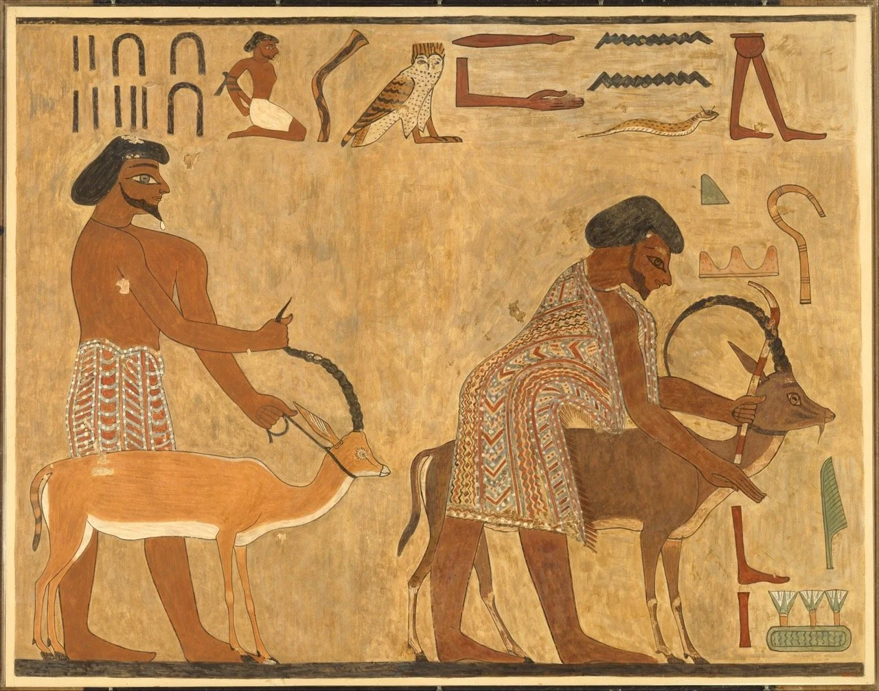 Egyptology Classes — Dr. Colleen Darnell