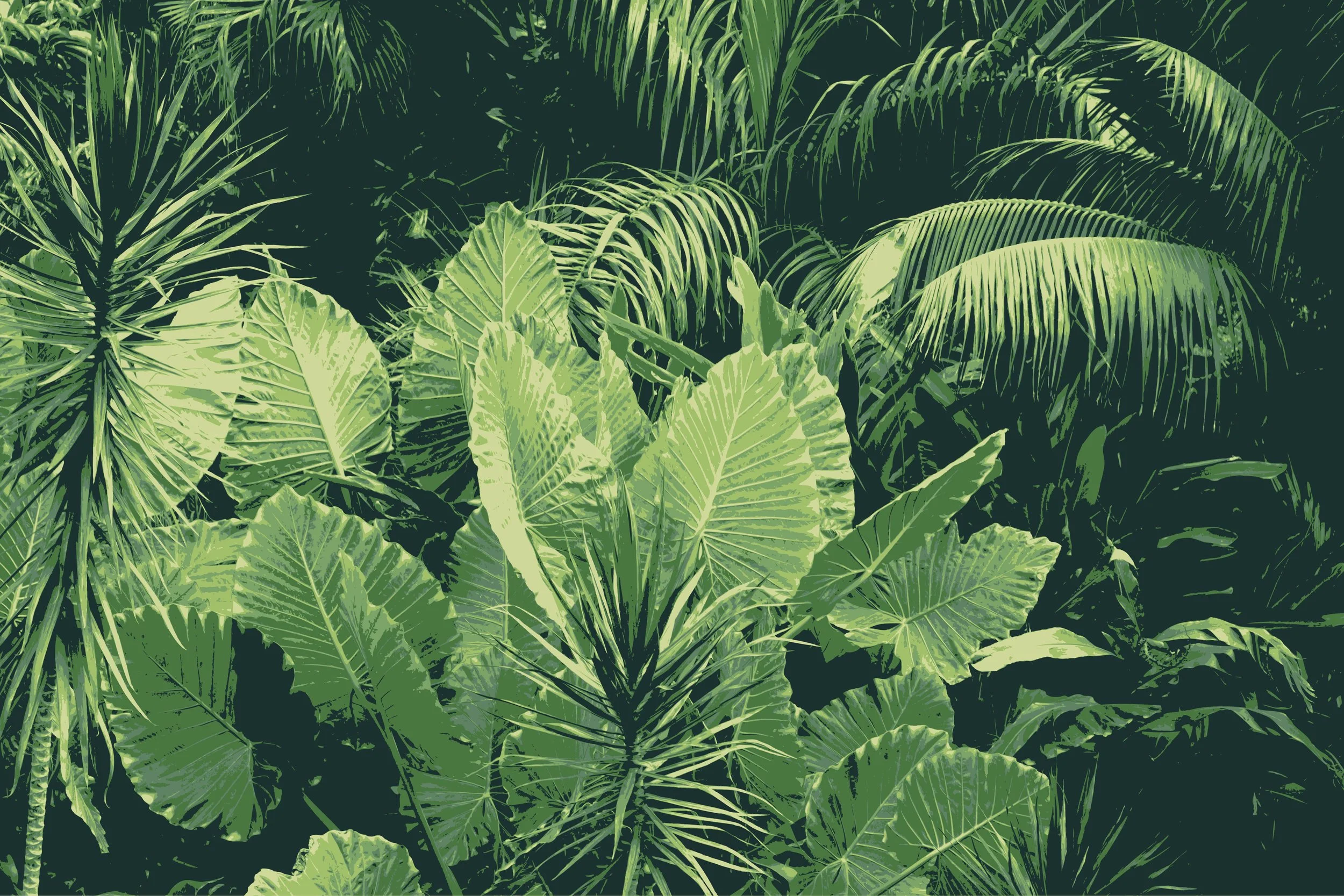TROPICO DESIGN STUDIO