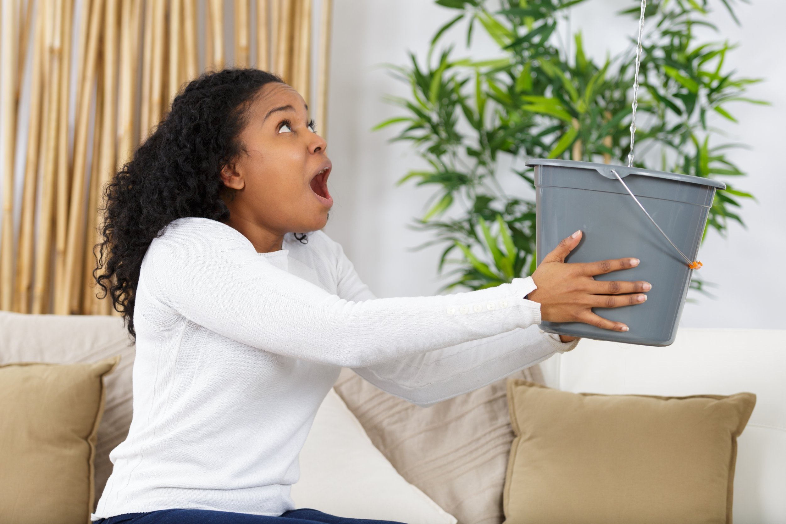 Real Estate Red Flags: Warning Signs to Watch for in a Property ...
