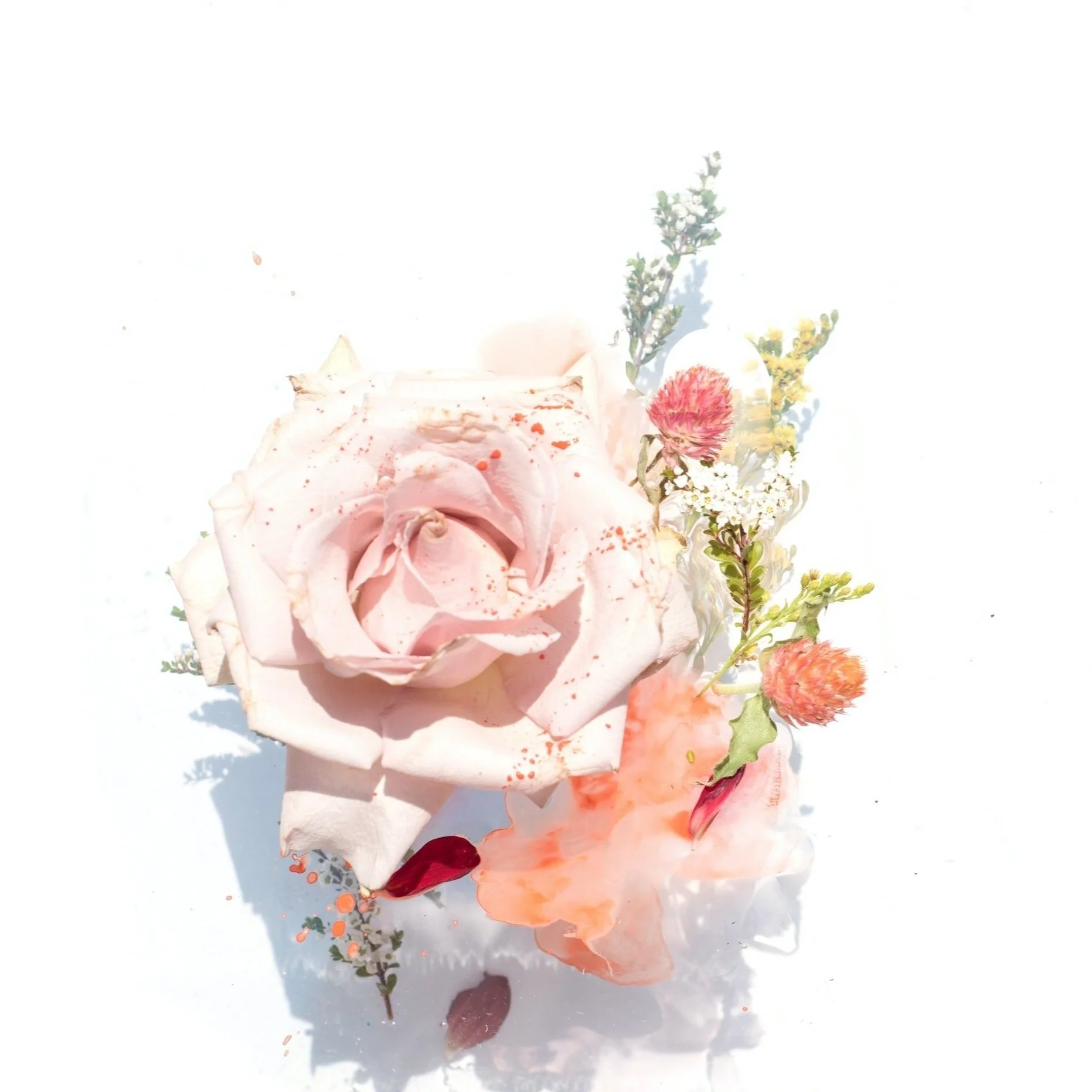 Services 4 — Wonderstruck Rose Beauty Studio