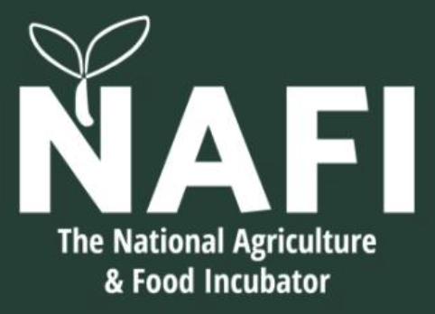 Why do we need NAFI? — NAFI