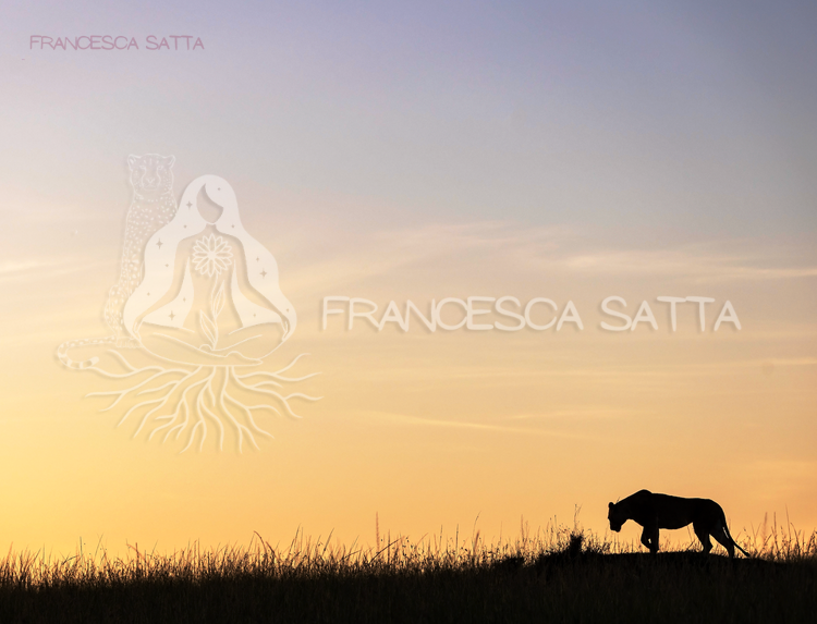 Francesca Satta Art