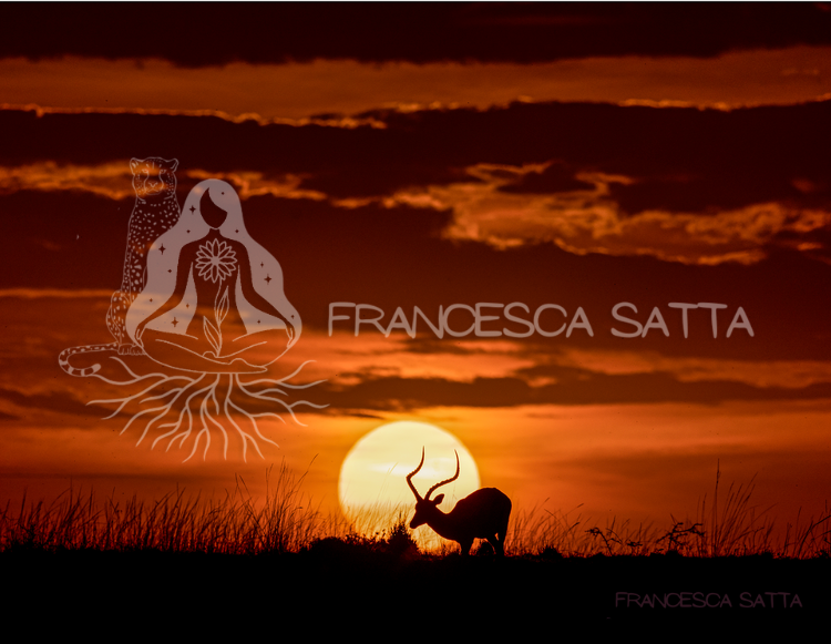 Francesca Satta Art