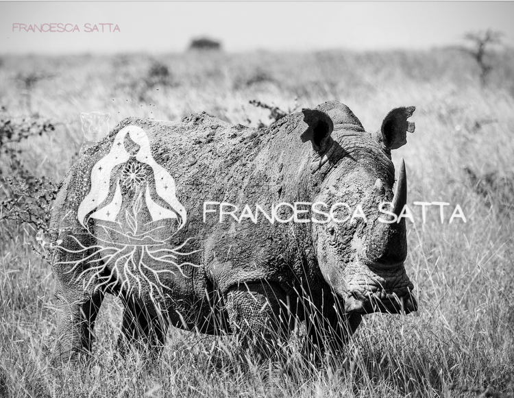 Francesca Satta Art