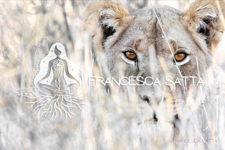 Francesca Satta Art