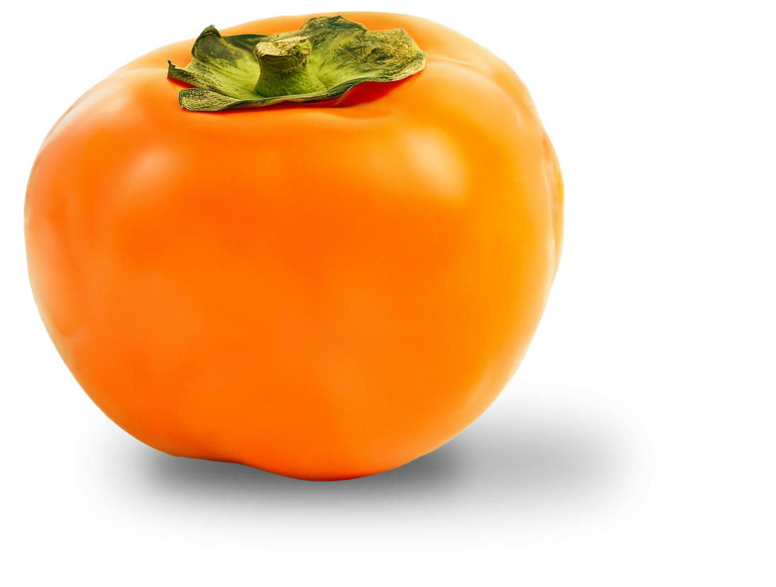 Persimmons — Cape Produce