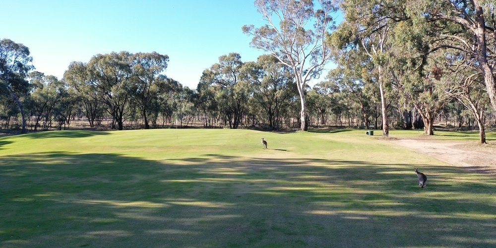 14th Hole — Cohuna Golf Club