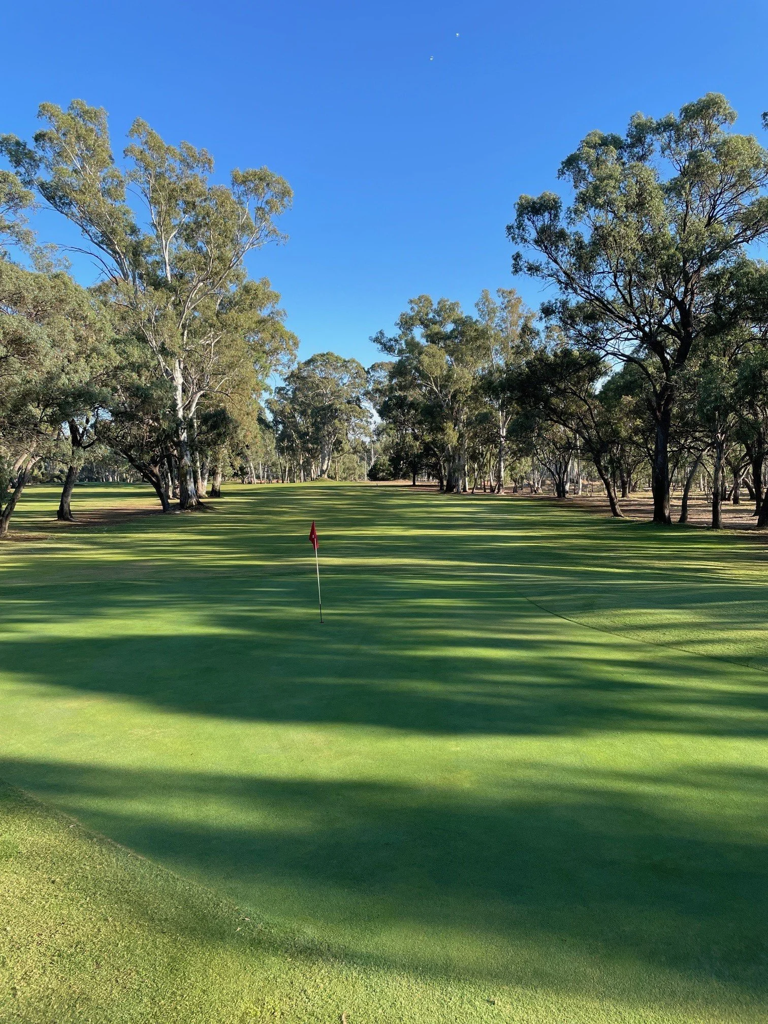 7th Hole — Cohuna Golf Club