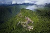 ClimateForce | Rainforest Regeneration