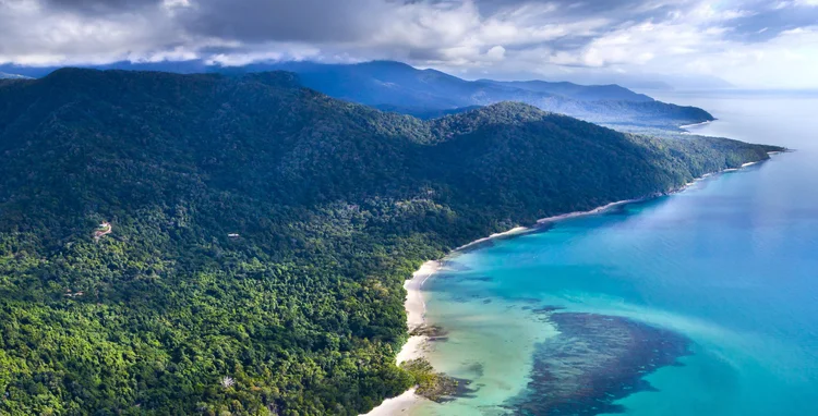 ClimateForce | Rainforest Regeneration
